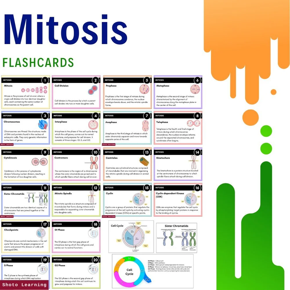 Mitosis Mystery Worksheet – Fun Missing Letter Activity