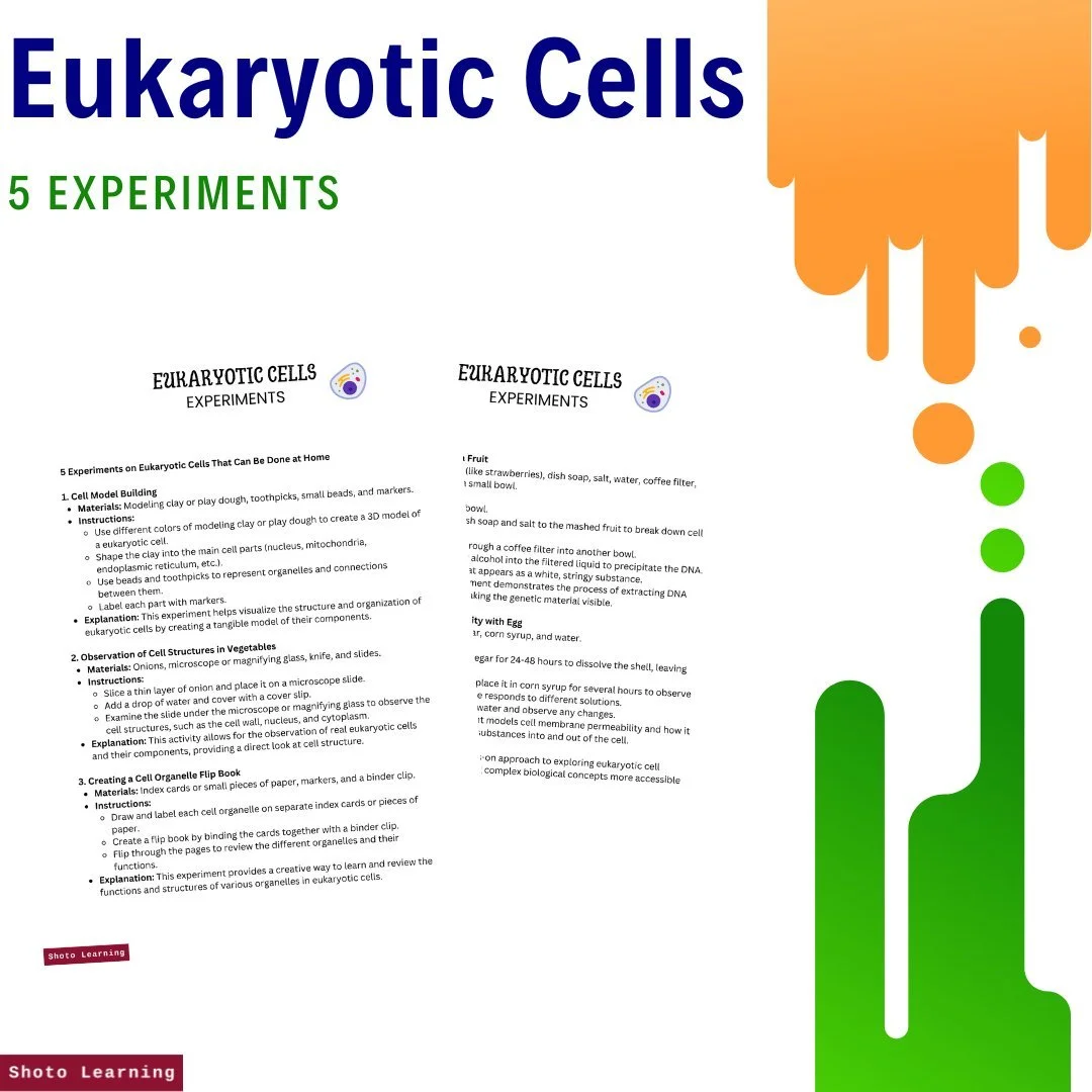 Eukaryotic Cells Poster - Animal & Plant Cell Structures