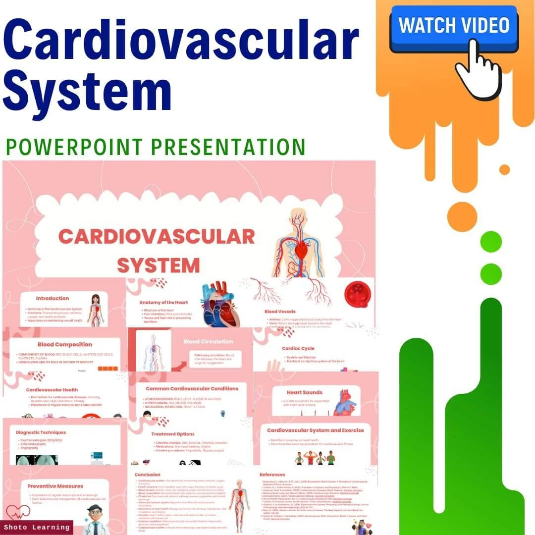 Free Cardiovascular System Poster - Learn & Decorate