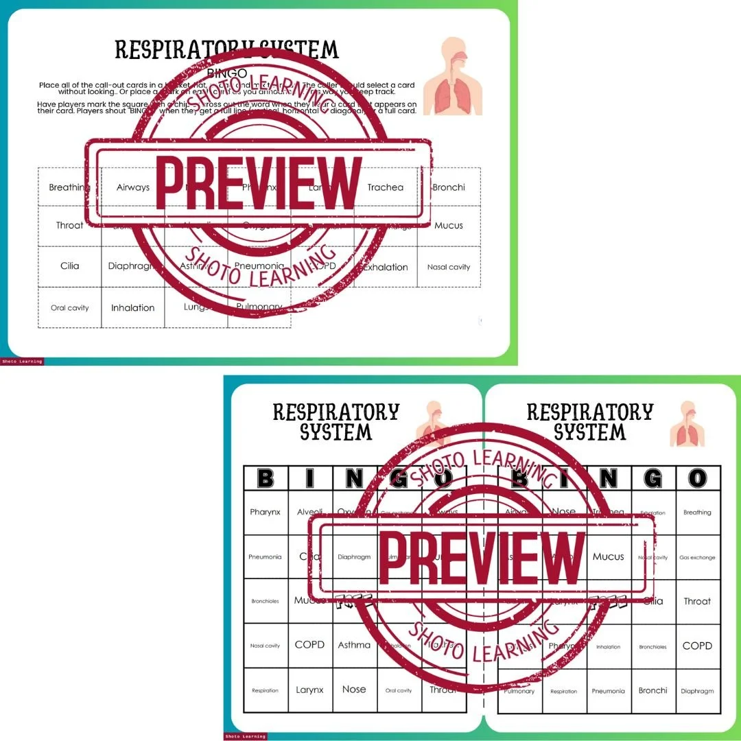 Respiratory System Diagram: Fill in the Blanks and Learn