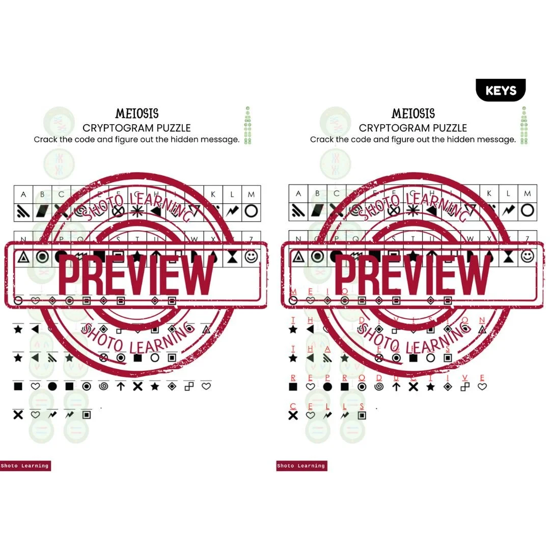 Meiosis Process Poster – Visual Cell Division Guide | PDF Download