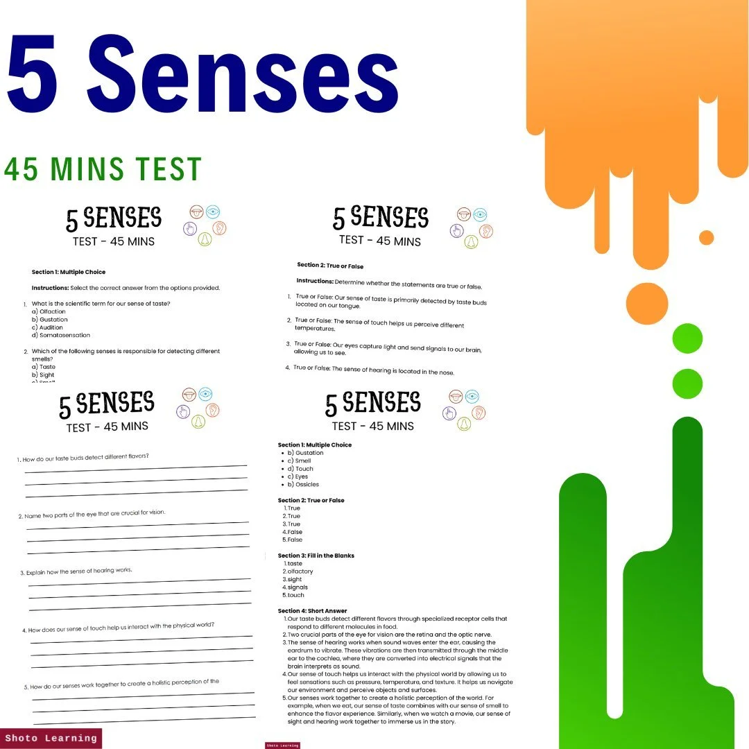 Five Senses Word Search Puzzle - Fun Science Activity for Kids