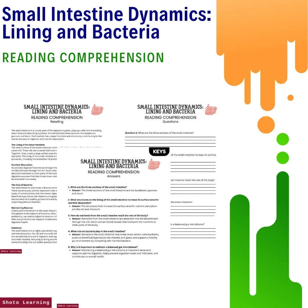 Small Intestine Worksheets: Anatomy & Bacteria Dynamics