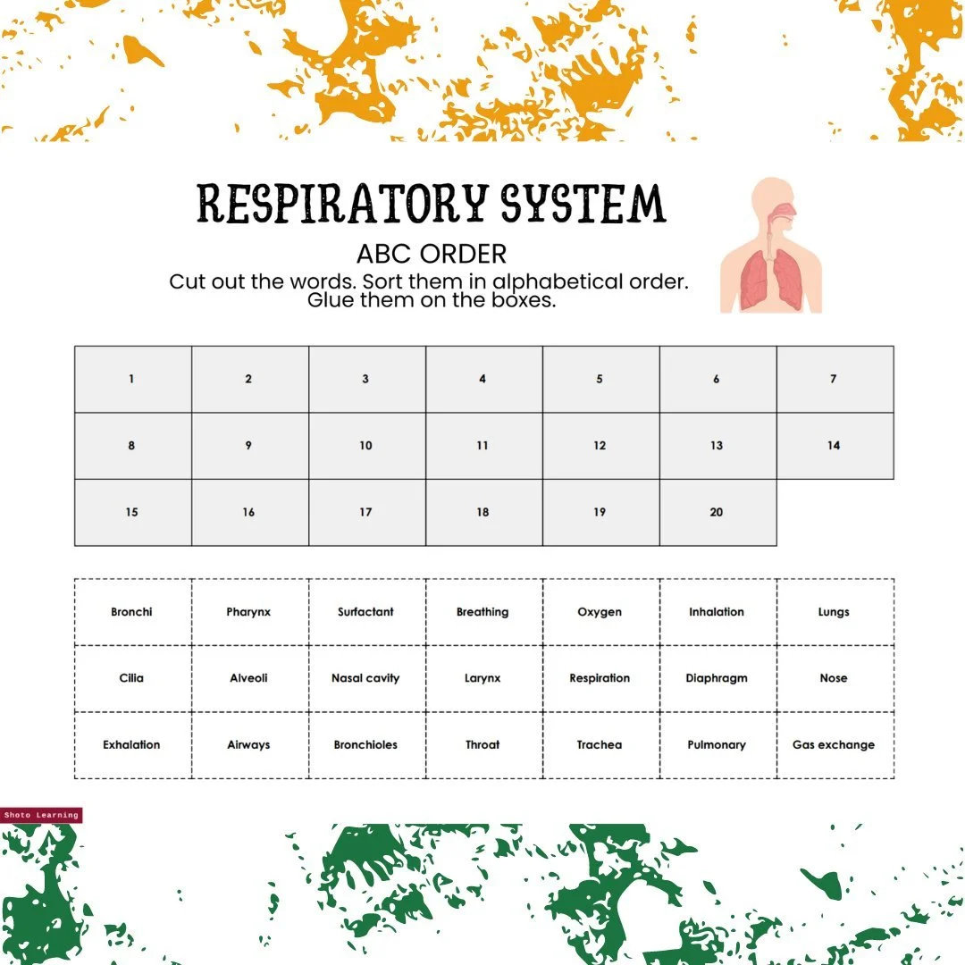 Respiratory System Diagram: Fill in the Blanks and Learn