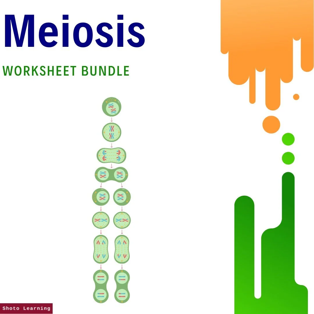 Meiosis Short Questions & Answers Worksheet | 20 Questions PDF