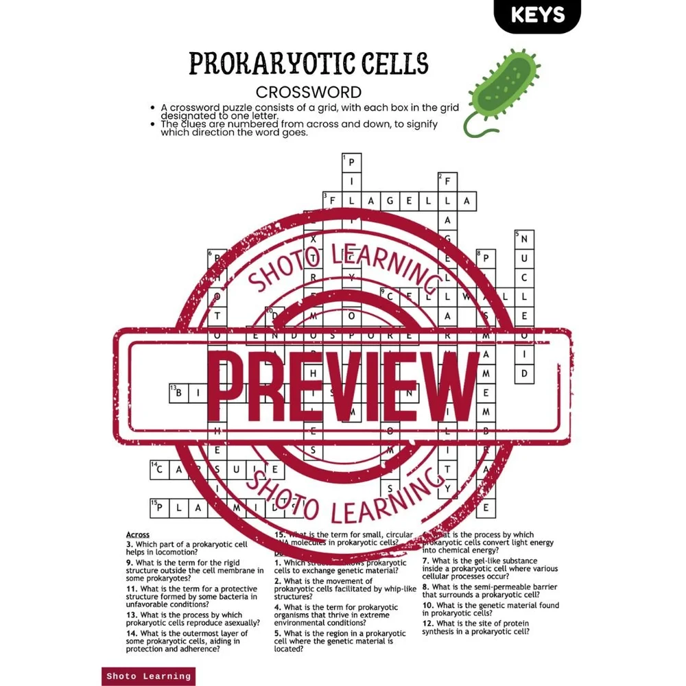 Prokaryotic Cell Q&A Mastery: 20 Questions & Answers