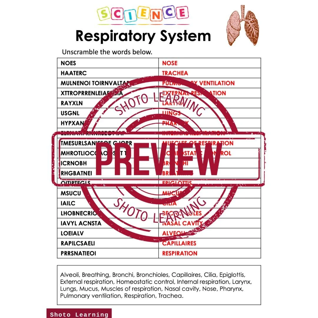 Respiratory System Diagram: Fill in the Blanks and Learn
