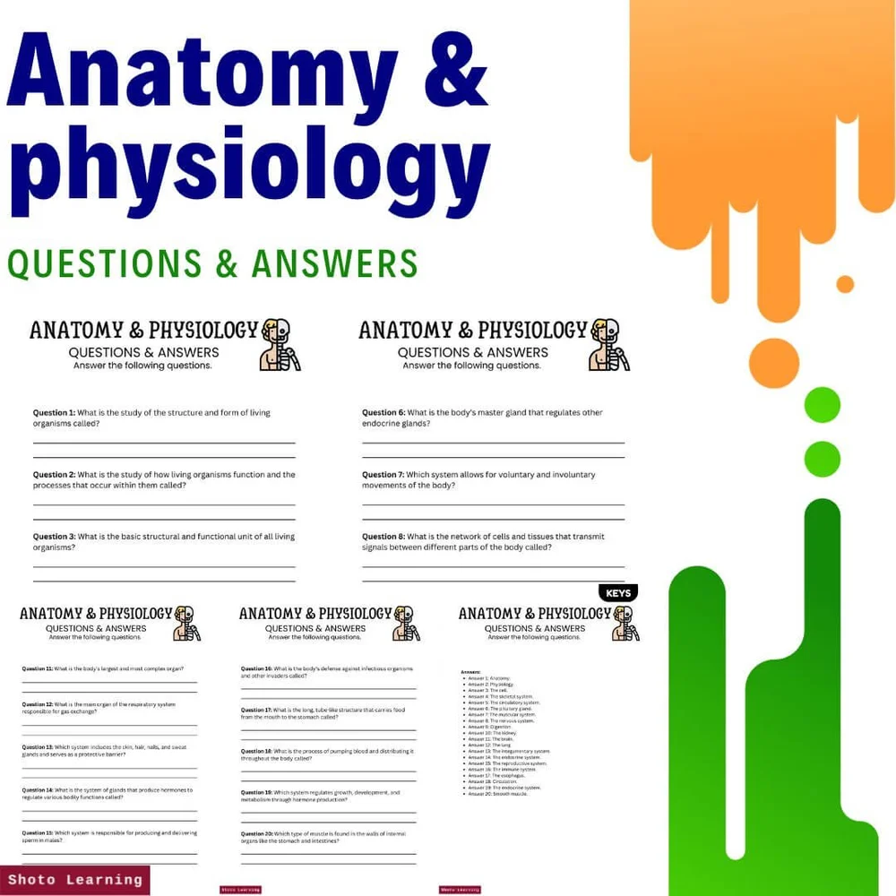 Human Biology Explorers: Anatomy & Physiology Lesson Plan