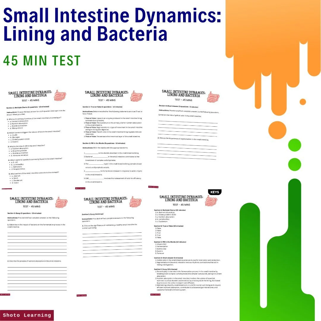 Small Intestine Worksheets: Anatomy & Bacteria Dynamics