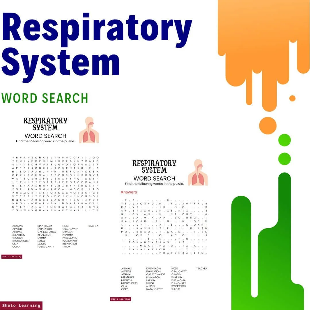 Respiratory System Word Search: Fun Science Activity