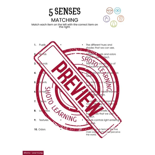 5 Senses Science Bundle: Word Find & Scramble Game