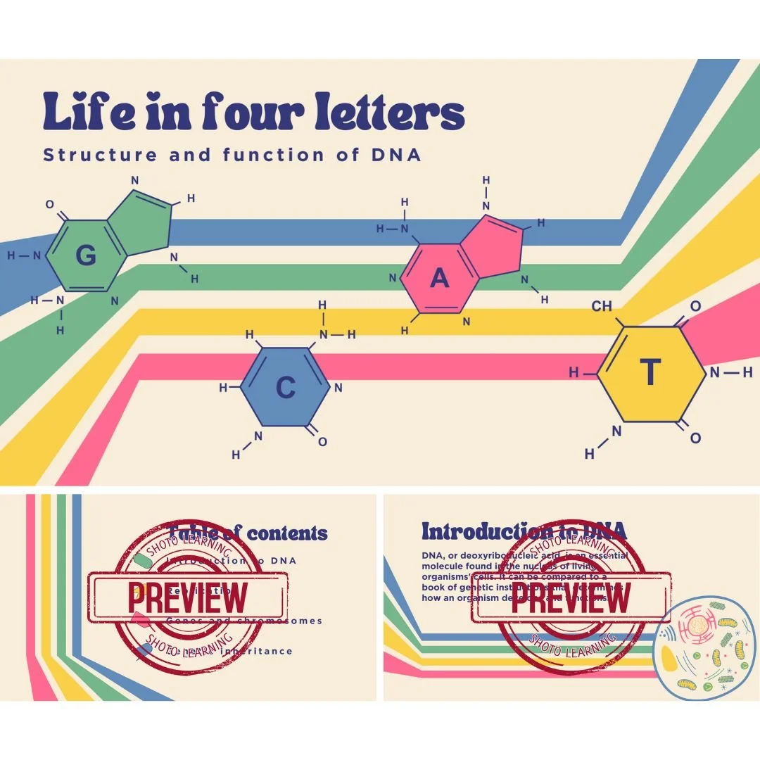 DNA Structure Worksheet: Engaging Exercises with Answers