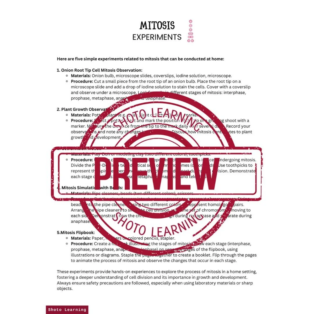 Unveiling Mitosis Poster - Educational Cell Division Chart