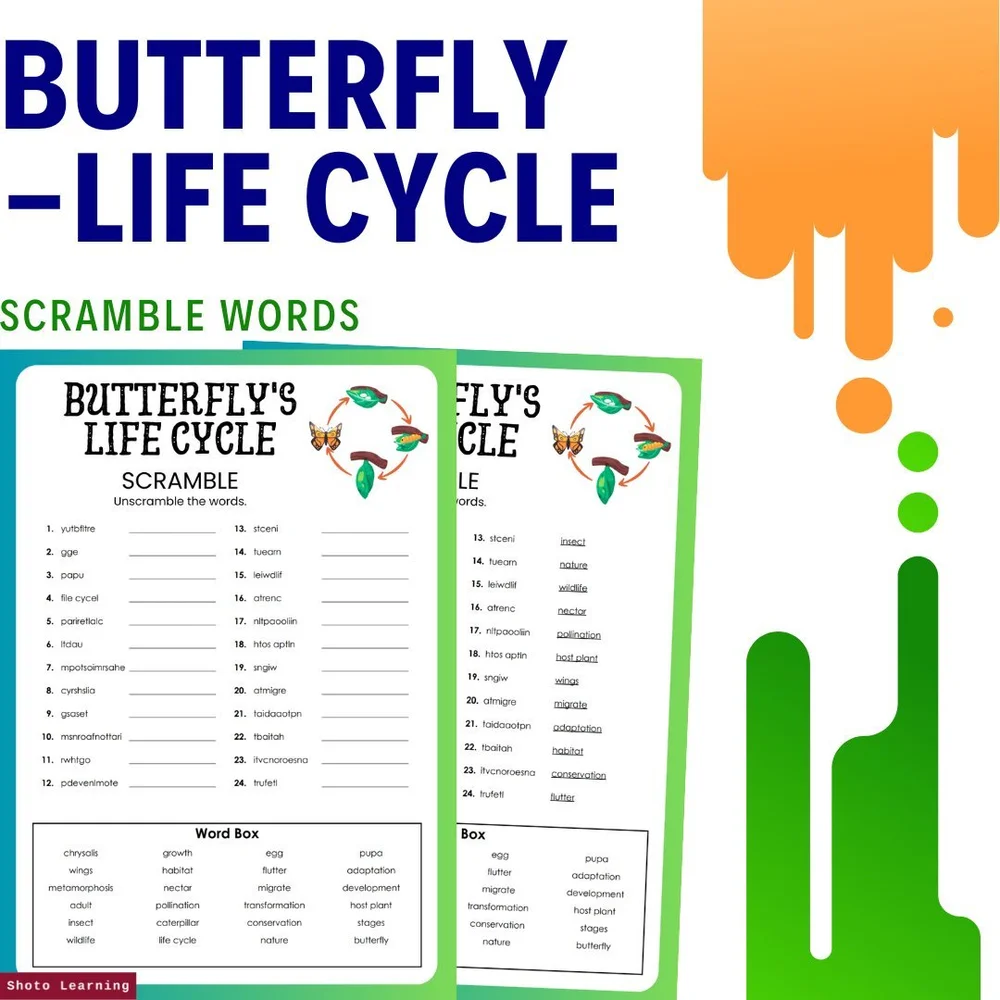 Butterfly Life Cycle Lesson Plan for Budding Entomologists