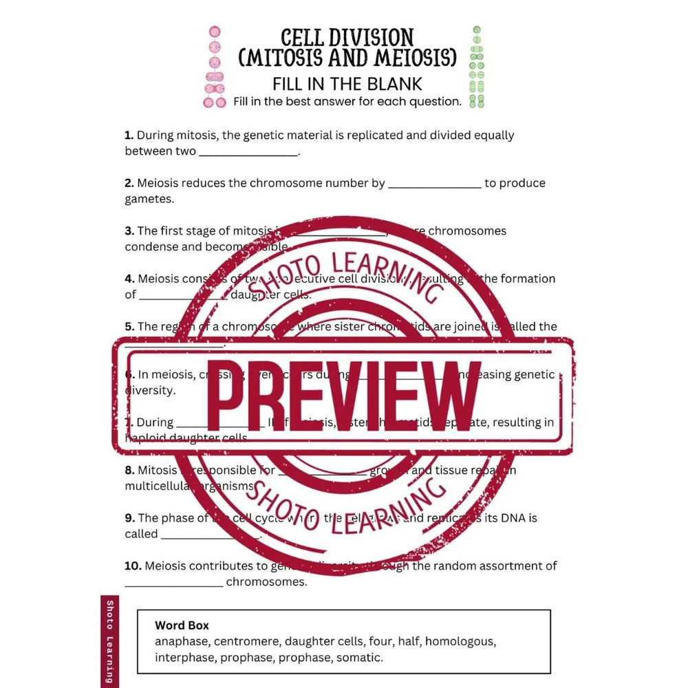 Mitosis vs Meiosis Poster: Visual Guide to Cell Division
