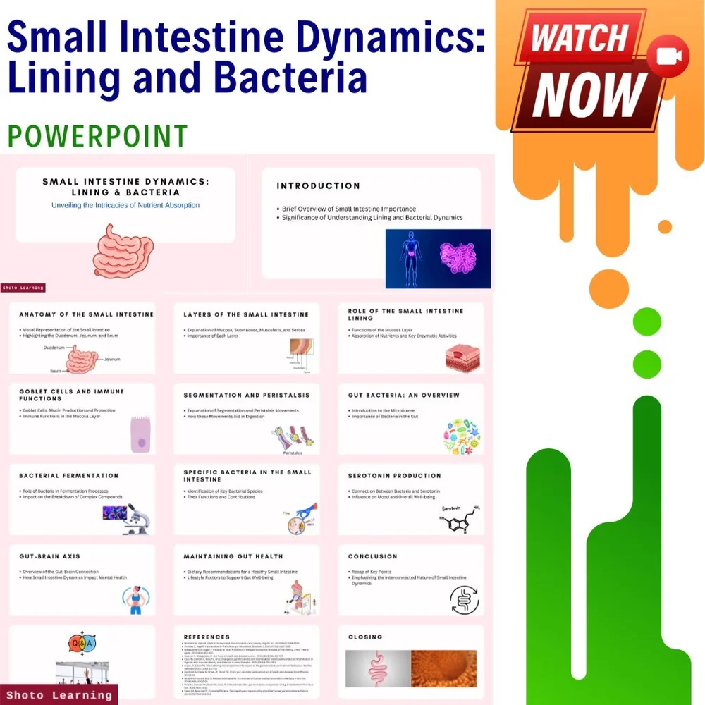 Small Intestine Worksheet: 20 Fill-in-the-Blank Questions