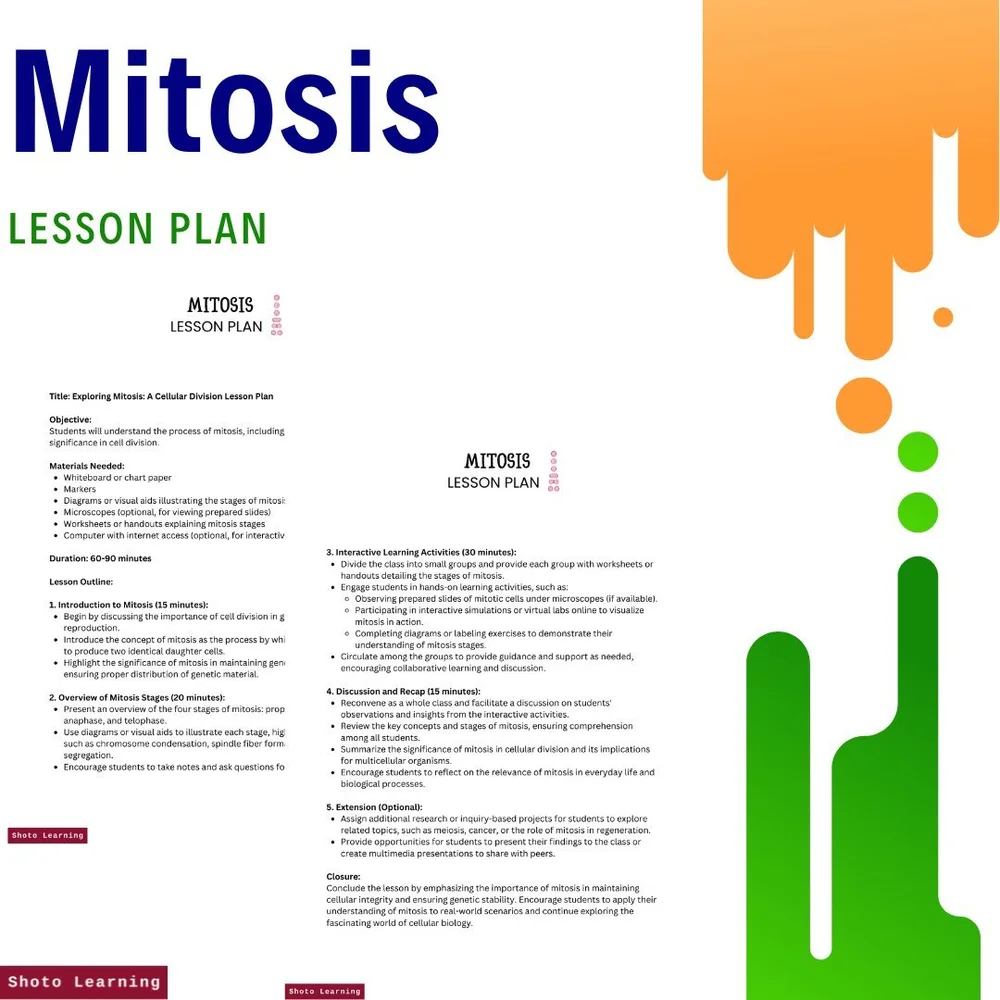 Mitosis Alphabetical Challenge: ABC Order Worksheet Set