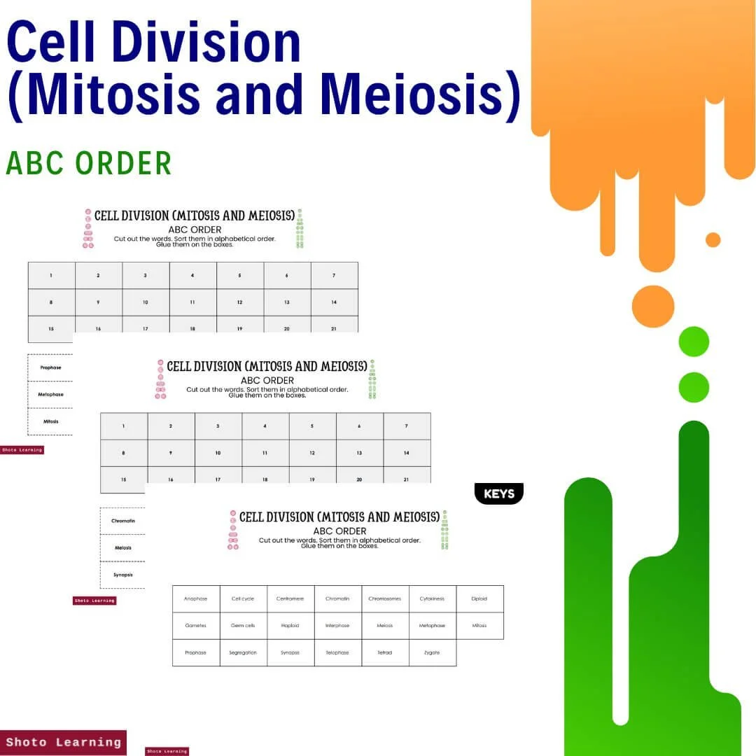 Cell Division Mitosis And Meiosis Owlcation Mitosis, Meiosis, And