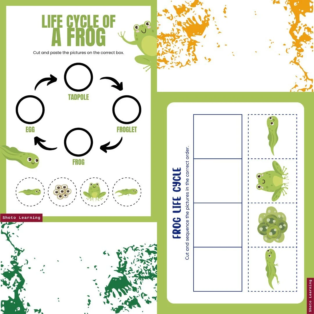 Fun and Educational Frog Life Cycle Crossword Worksheets