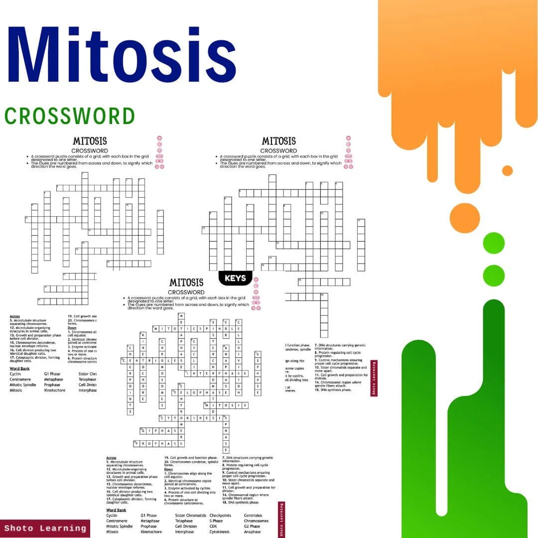 Mitosis Quest: Engaging Word Search Puzzle Worksheet for Students
