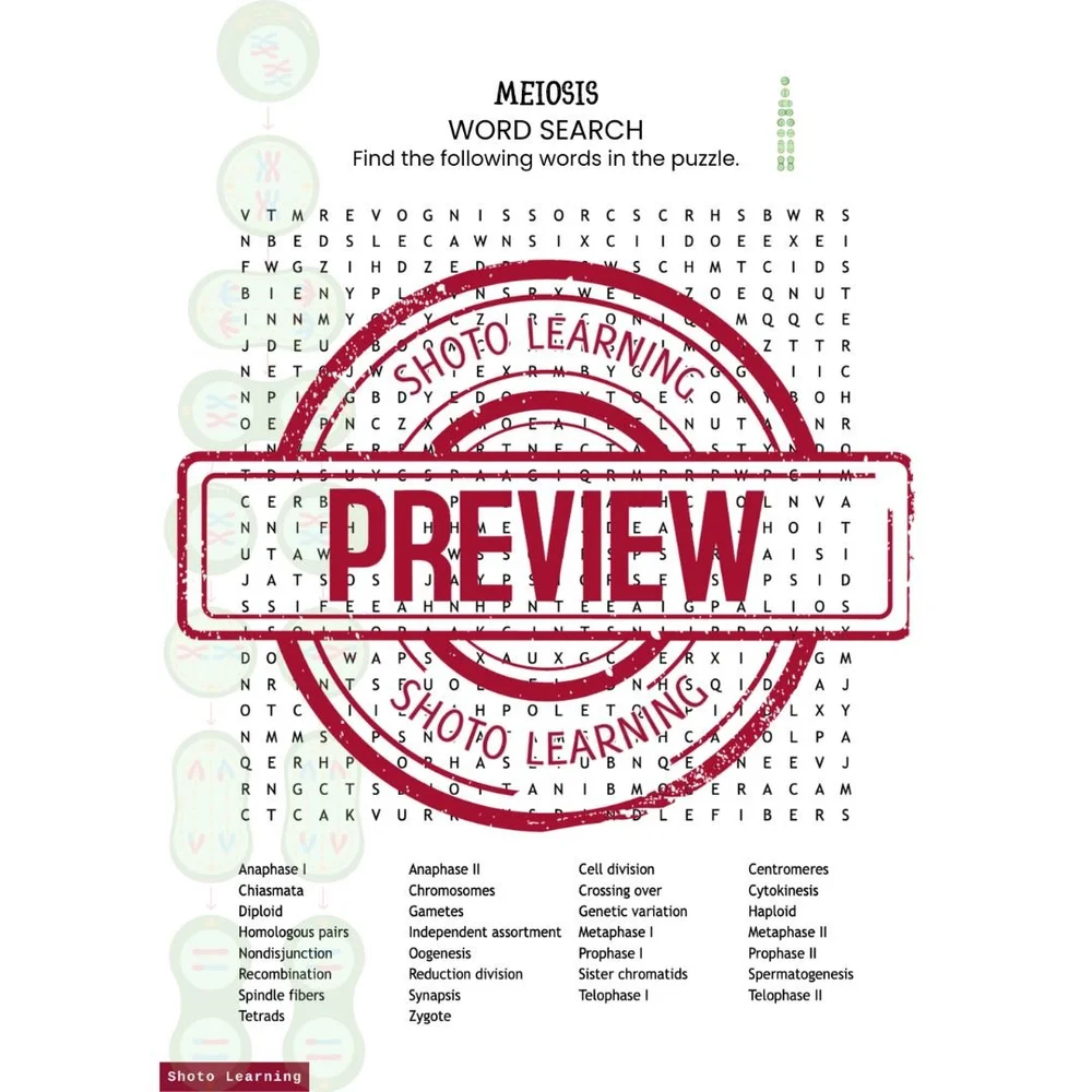 Meiosis Multiple Choice Worksheet | 20 Questions & Answer Key