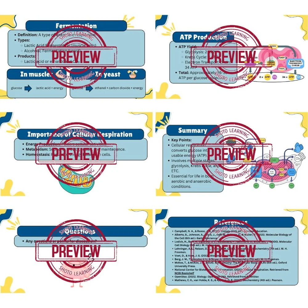 Cellular Respiration Label Worksheet | Word Box & Answer Key