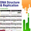 DNA Structure Worksheet: Engaging Exercises with Answers
