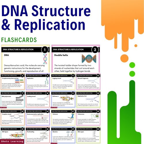 DNA Structure Worksheet: Engaging Exercises with Answers