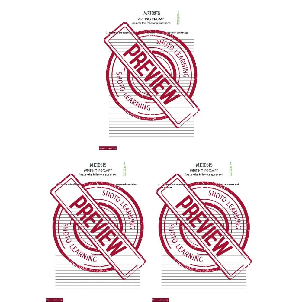 Meiosis Worksheet: 20 Fill-in-the-Blank Questions + Answer Key