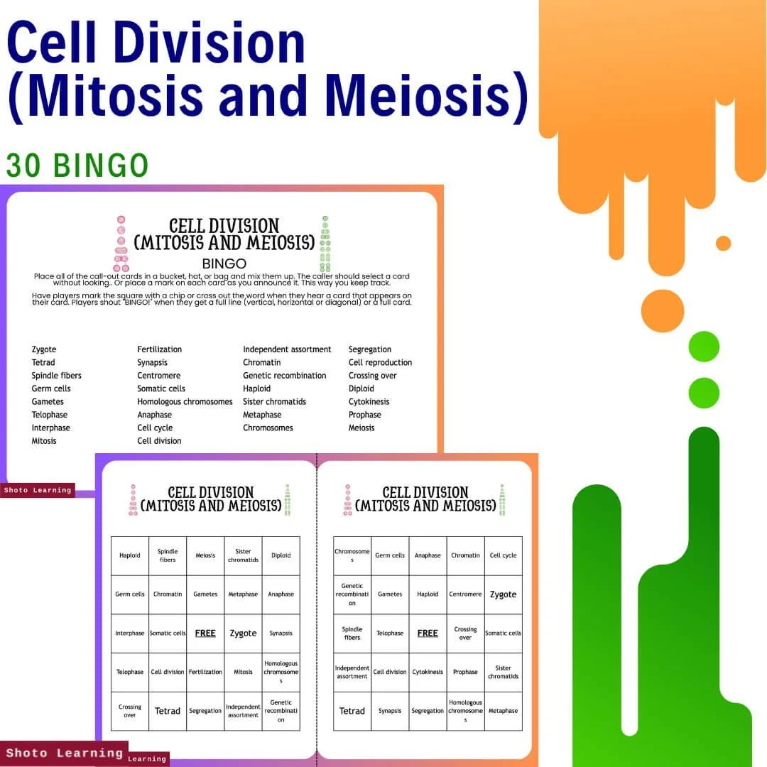 Mitosis vs Meiosis Poster: Visual Guide to Cell Division