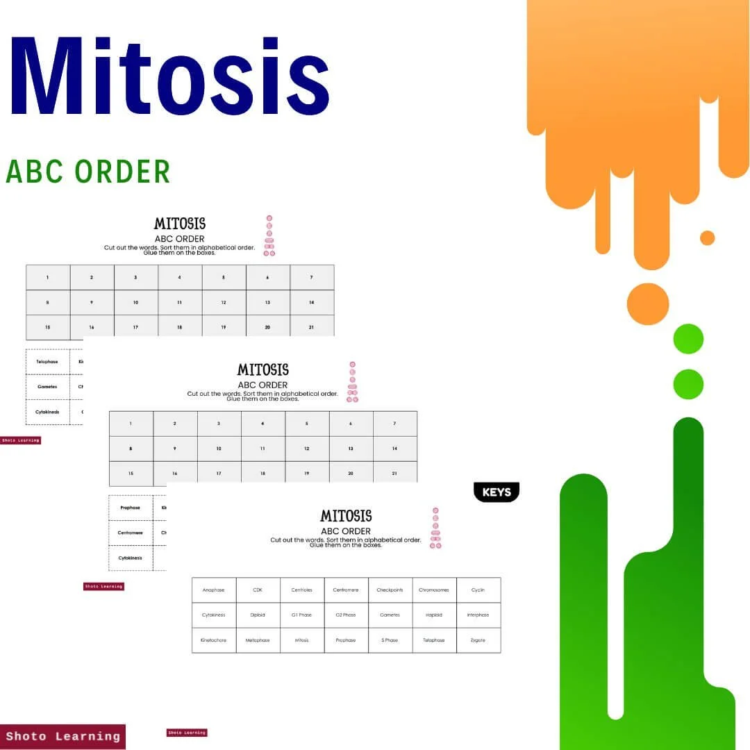 Mitosis Alphabetical Challenge: ABC Order Worksheet Set