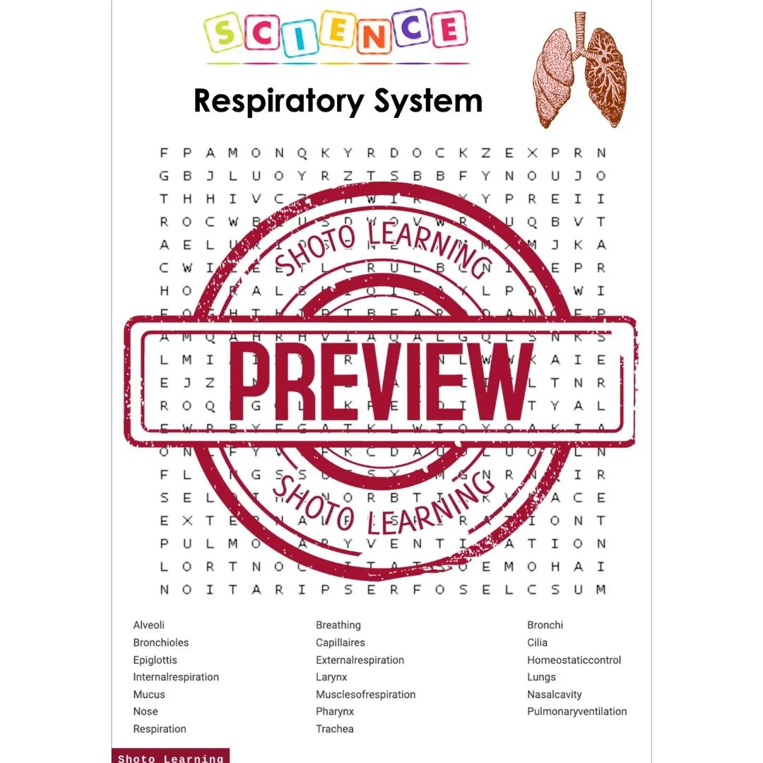 Respiratory System Diagram: Fill in the Blanks and Learn