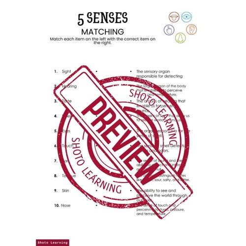 5 Senses Science Bundle: Word Find & Scramble Game