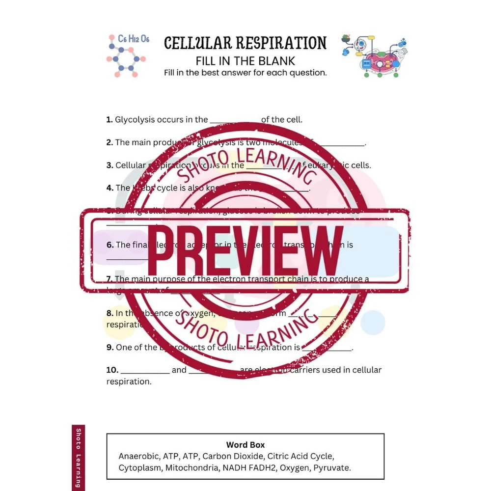 Cellular Respiration Missing Letters Worksheets – 20 Key Terms