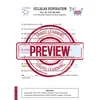 Cellular Respiration Posters Bundle - Visual Learning Tools
