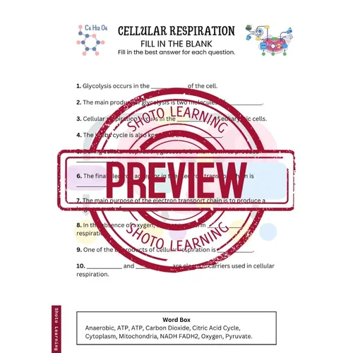 Cellular Respiration Posters Bundle - Visual Learning Tools