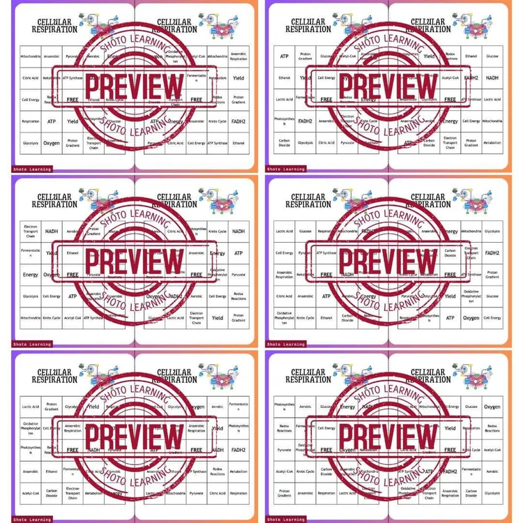 Cellular Respiration Label Worksheet | Word Box & Answer Key