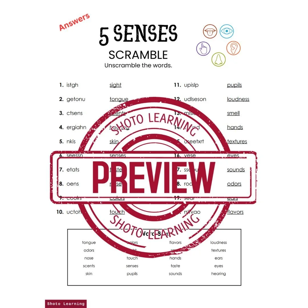 Five Senses Word Search Puzzle - Fun Science Activity for Kids