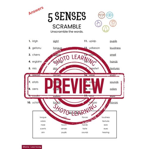 Five Senses Word Search Puzzle - Fun Science Activity for Kids