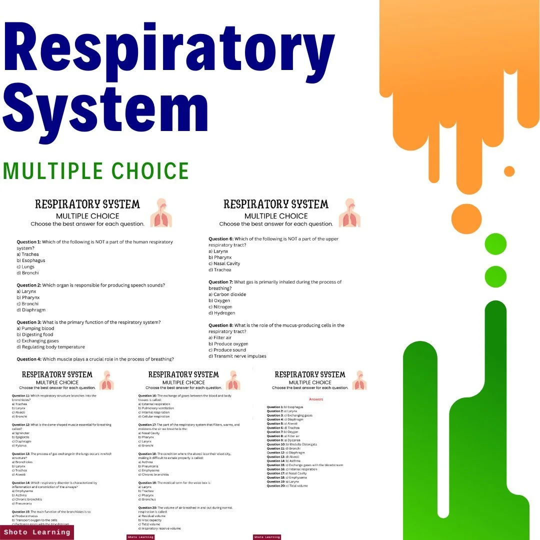 Respiratory System Diagram: Fill in the Blanks and Learn