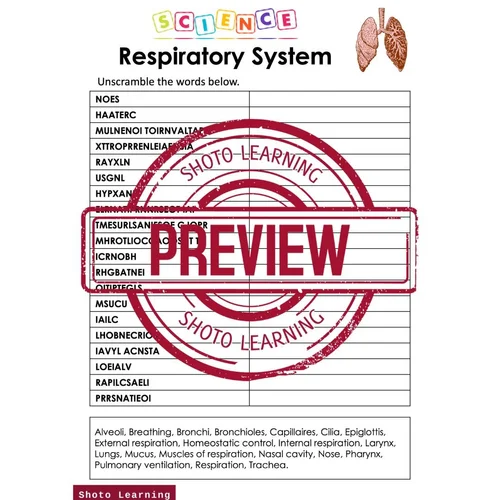 Respiratory System Word Scramble | Fun Learning