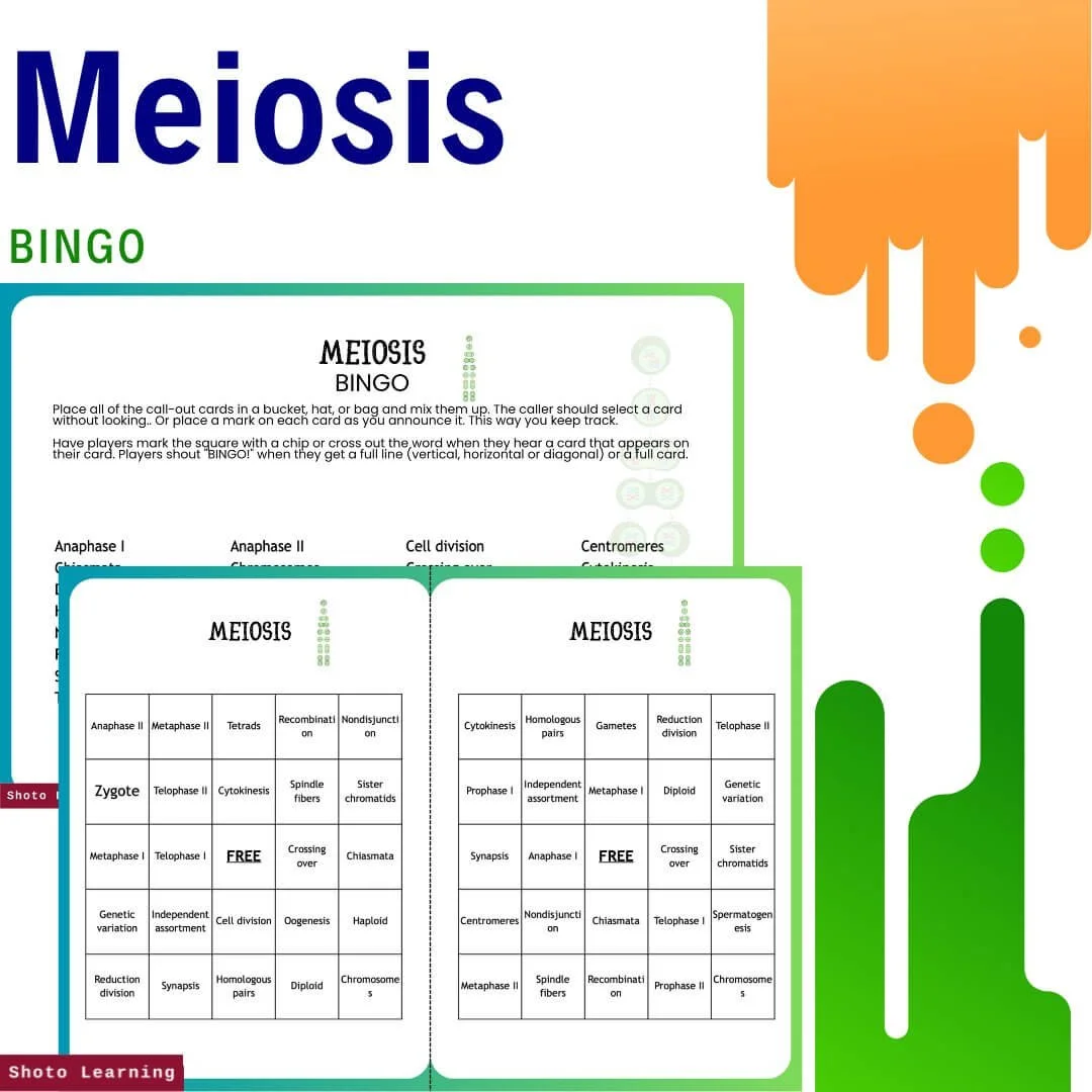 Meiosis Multiple Choice Worksheet | 20 Questions & Answer Key