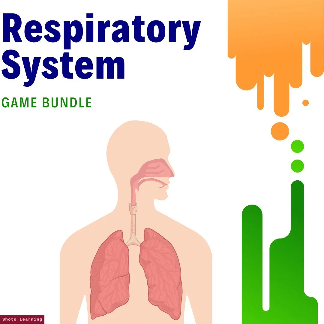 Respiratory System Diagram: Fill in the Blanks and Learn