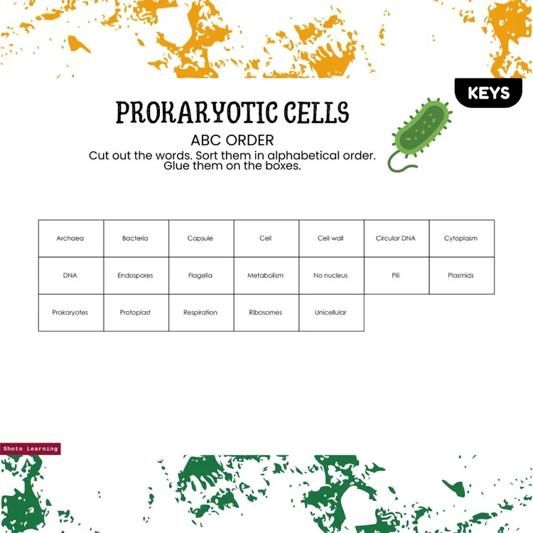 Prokaryotic Cell Q&A Mastery: 20 Questions & Answers