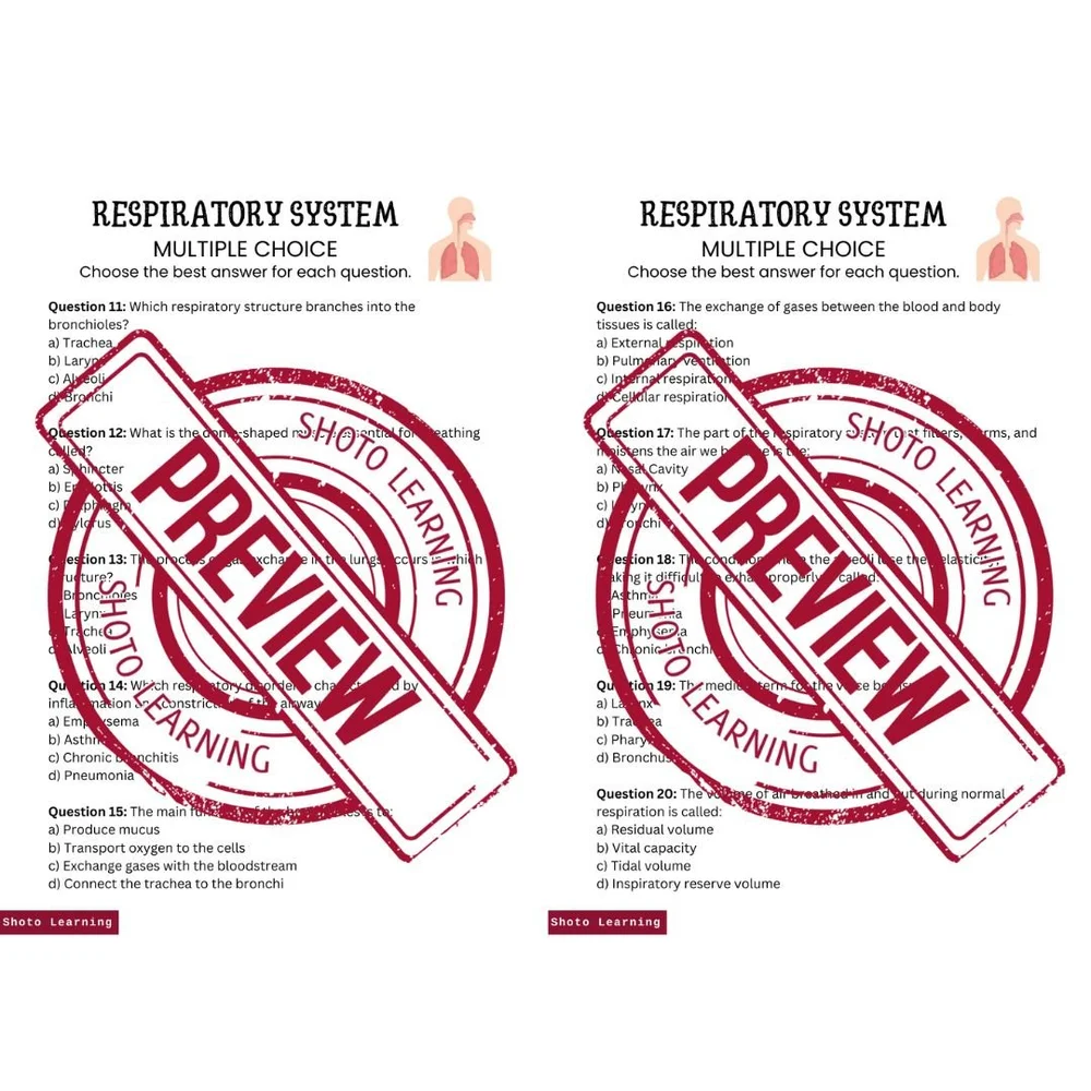Respiratory System Flashcards - Learn Fast!