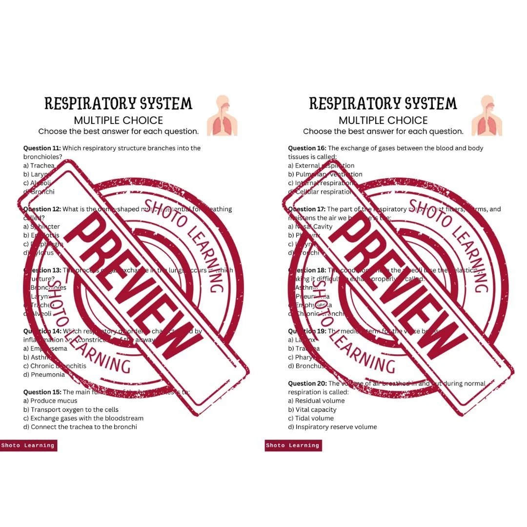 Respiratory System Bingo: Fun Learning Game