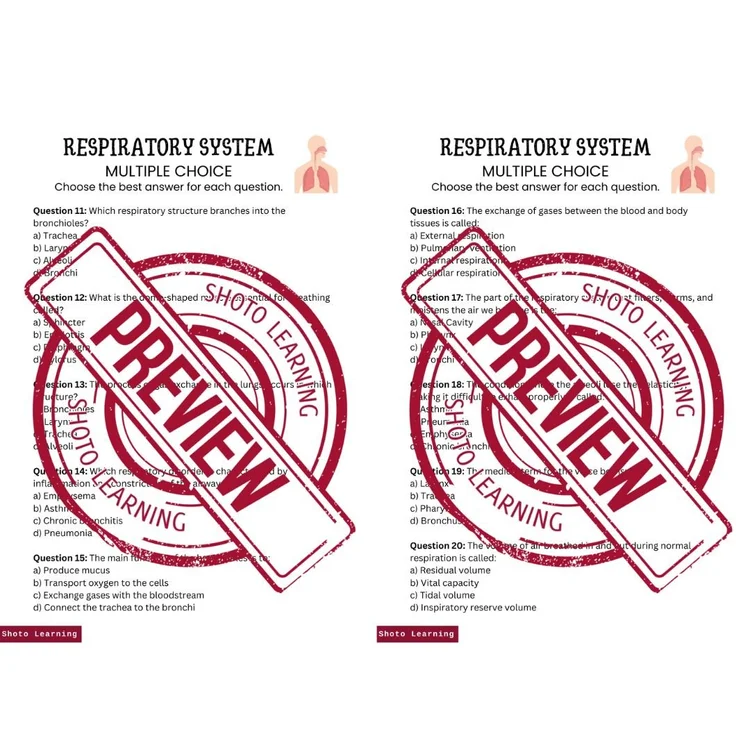 Respiratory System Diagram: Fill in the Blanks and Learn