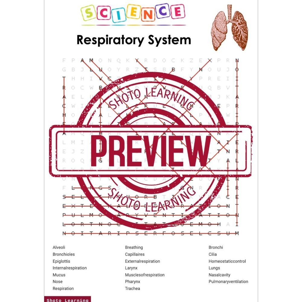 Respiratory System Poster: Learn Anatomy & Function | Free Download