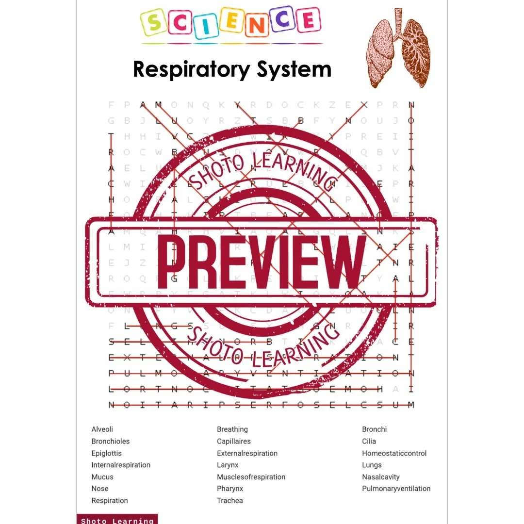 Respiratory System Word Scramble | Fun Learning