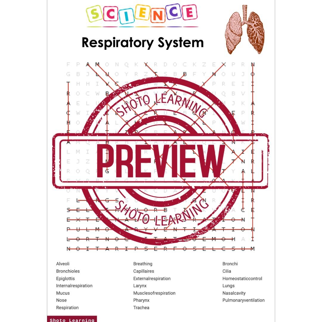 Respiratory System Poster: Learn Anatomy & Function | Free Download